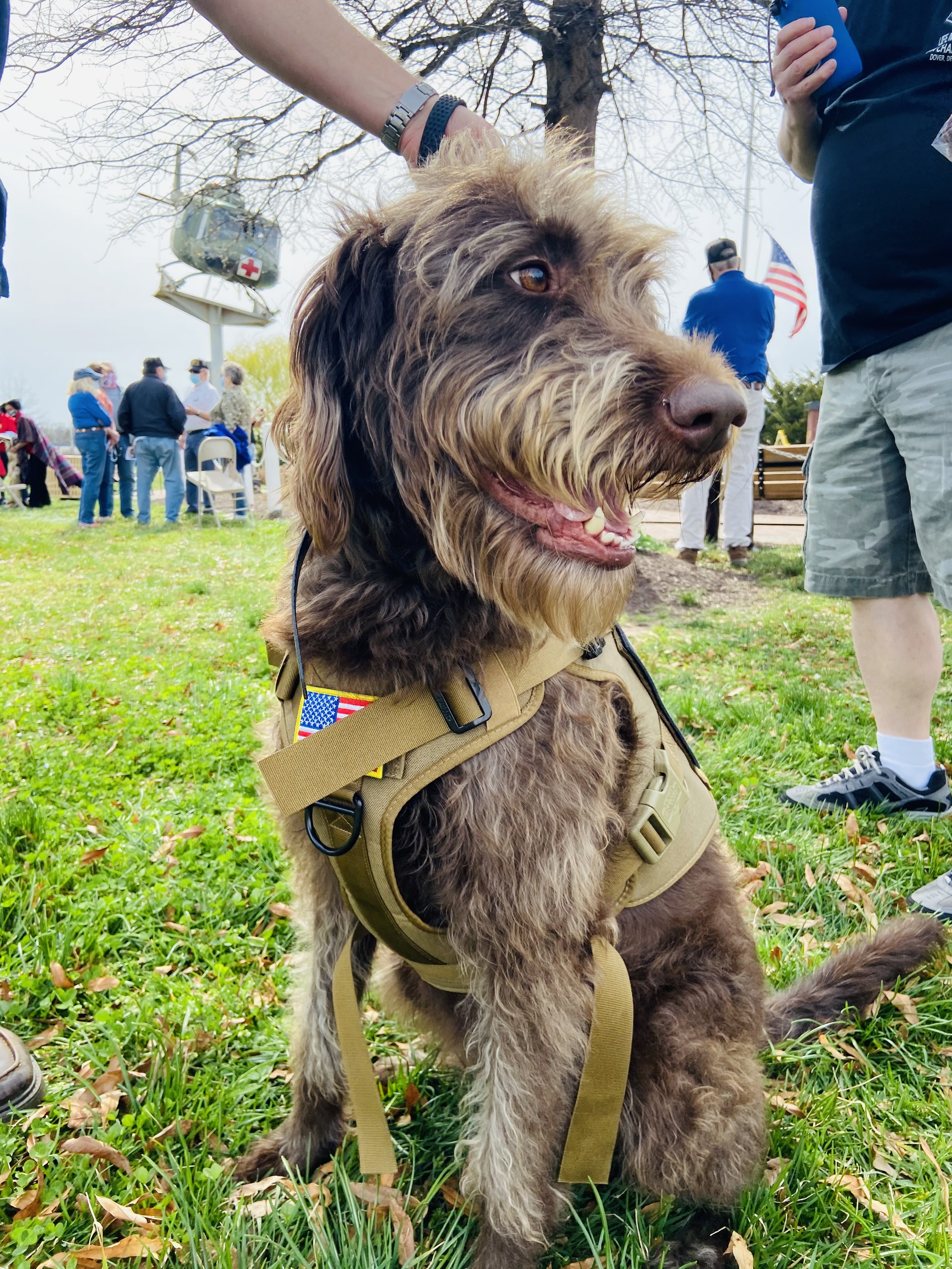 C.A.S.H. – Canines Assisting Service Heroes